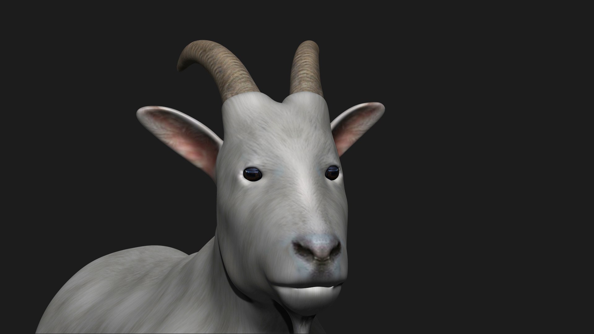 Fully Rigged White Goat Model - TurboSquid 1697430