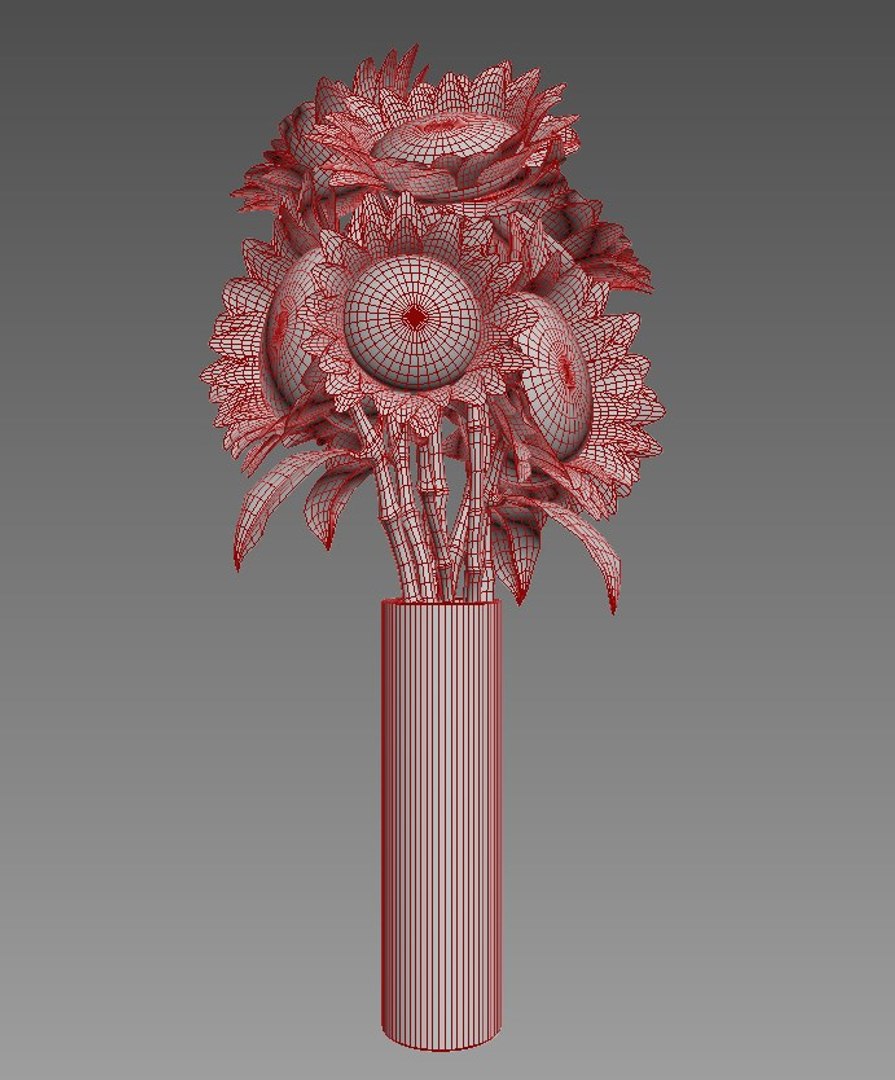3d Sunflower Model