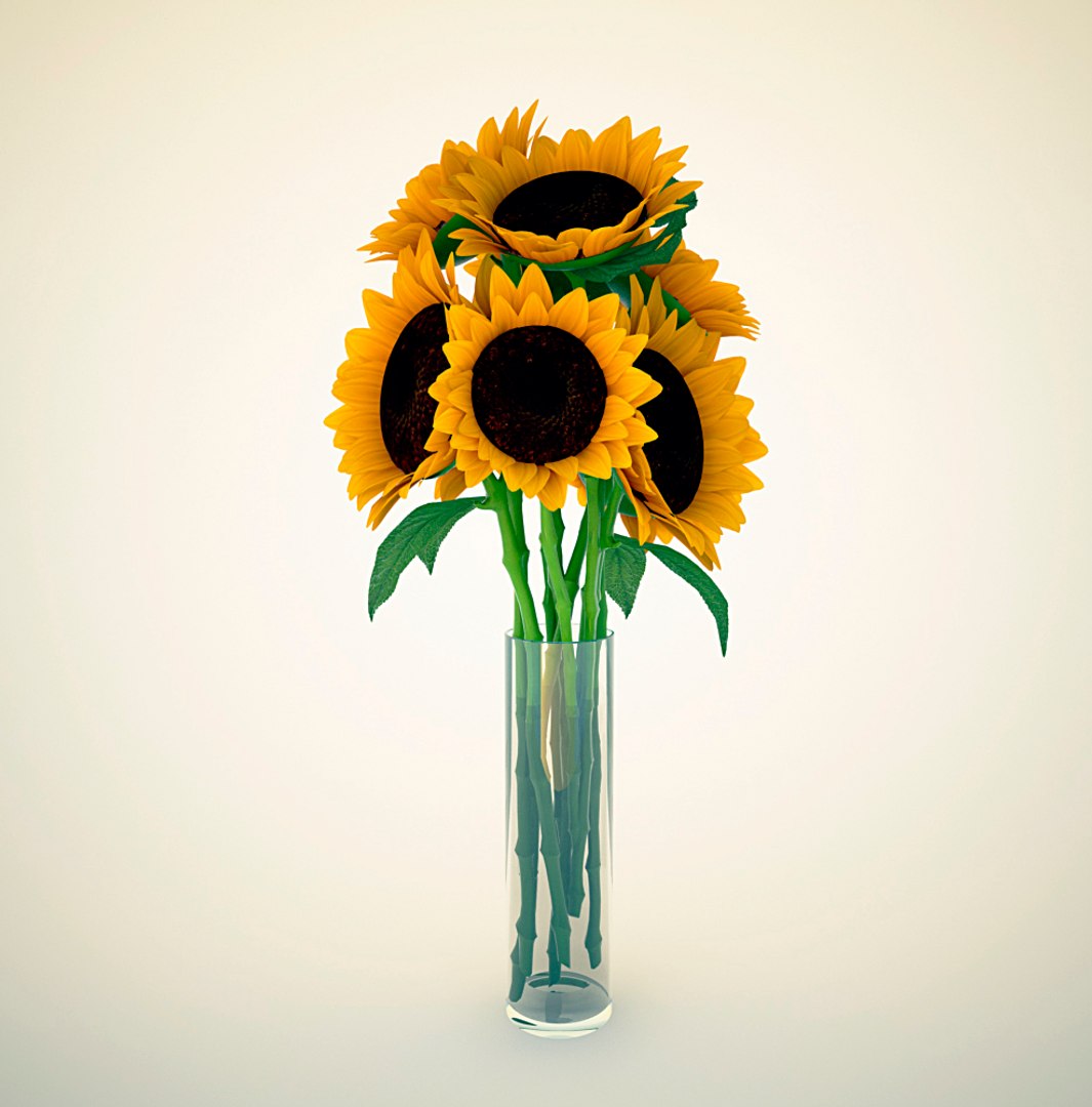 3d Sunflower Model