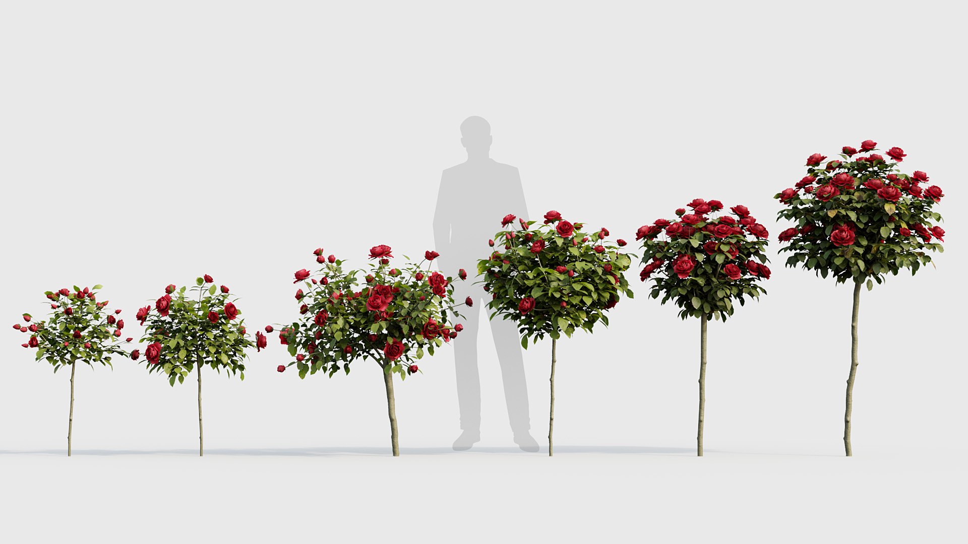 Rose Tree 01 3D Model 3D Model - TurboSquid 2173850