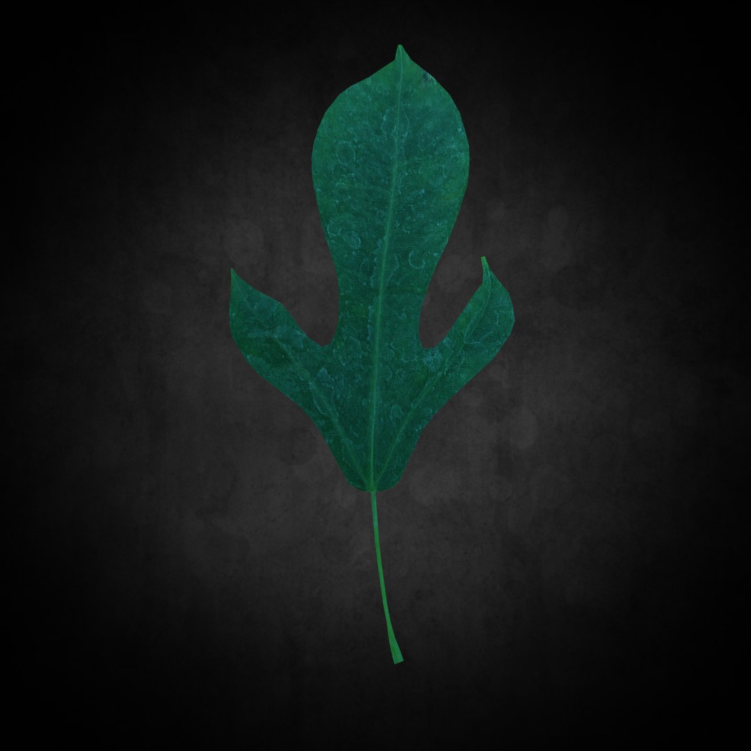 3D Model Low Poly Leaf 091 - TurboSquid 1852567
