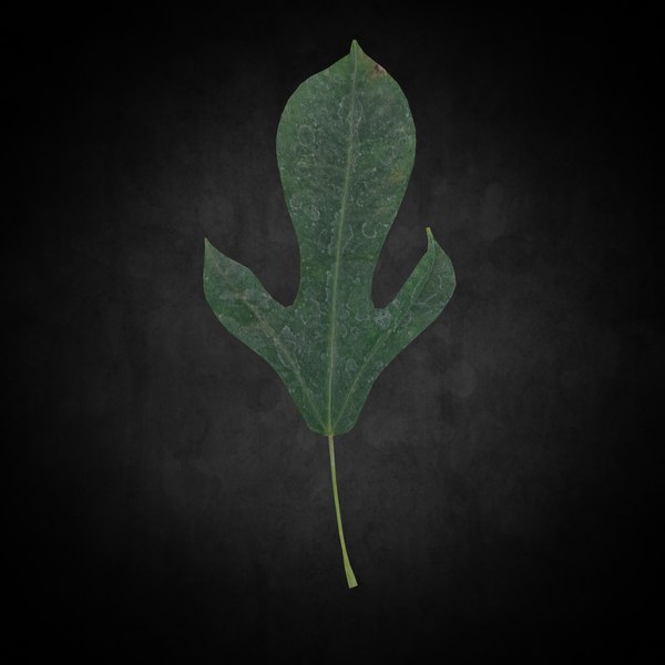 3D model Low Poly Leaf 091 - TurboSquid 1852567