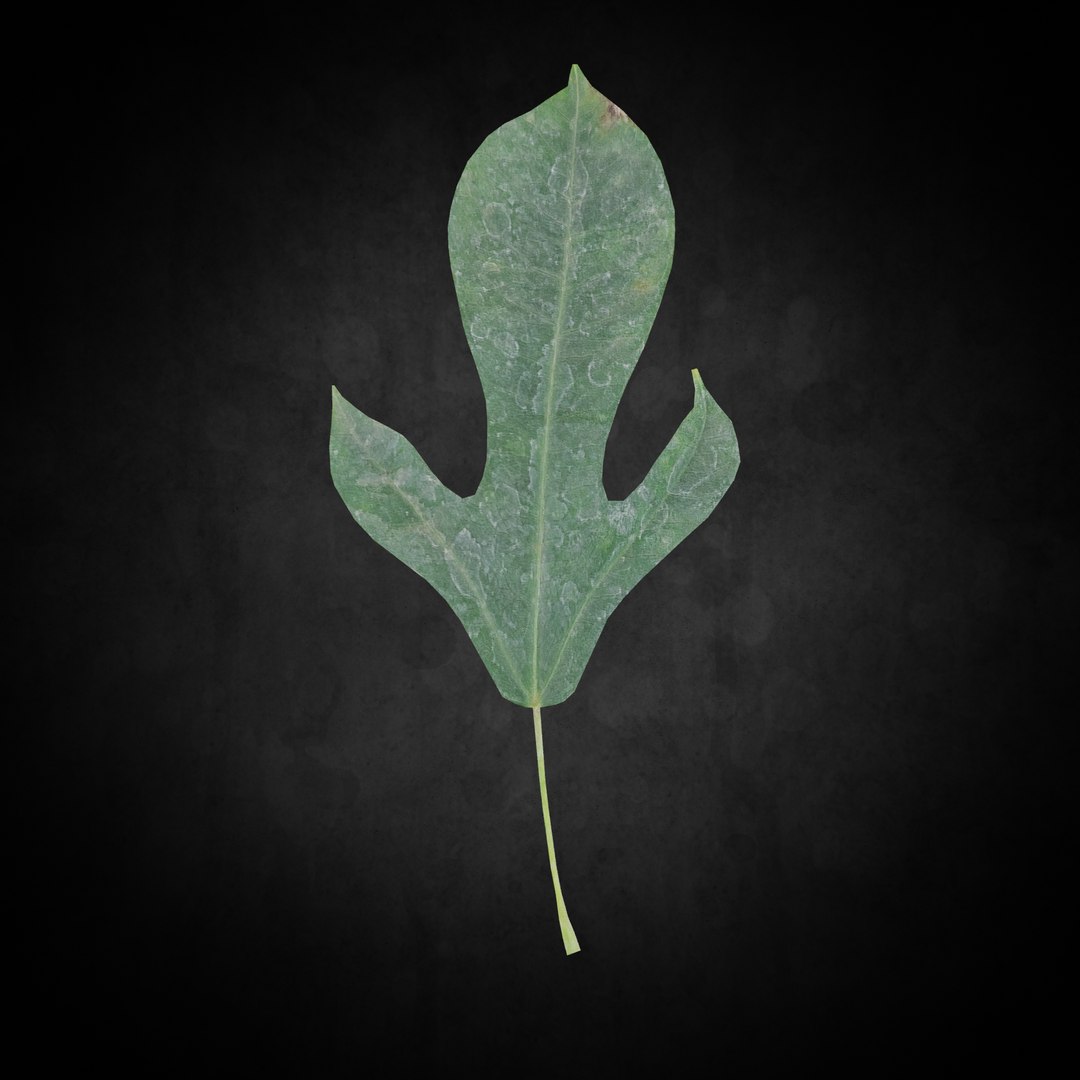 3D Model Low Poly Leaf 091 - TurboSquid 1852567