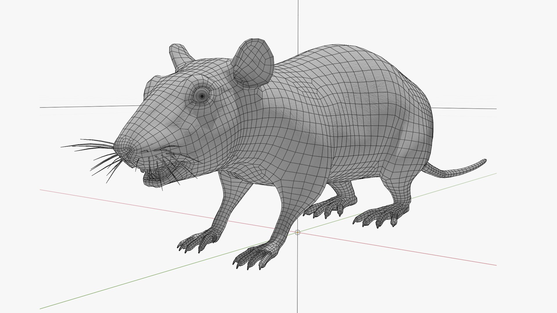 Rat 3D Model - TurboSquid 2132859