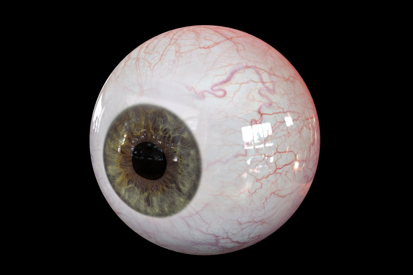 Realistic human eye body anatomy model - TurboSquid 1334103