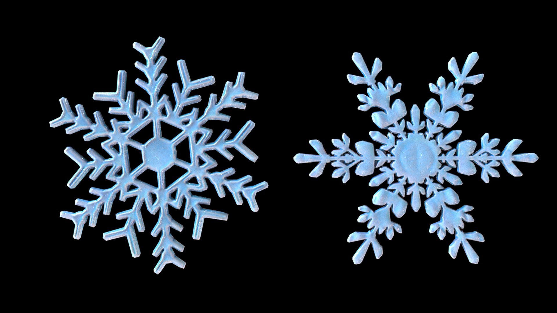 2 Different Snowflake 3D Model - TurboSquid 1653566