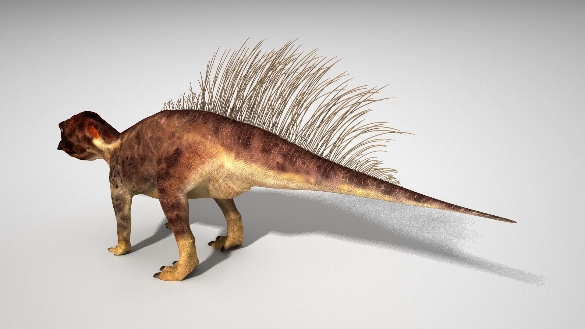 Psittacosaurus Feathers