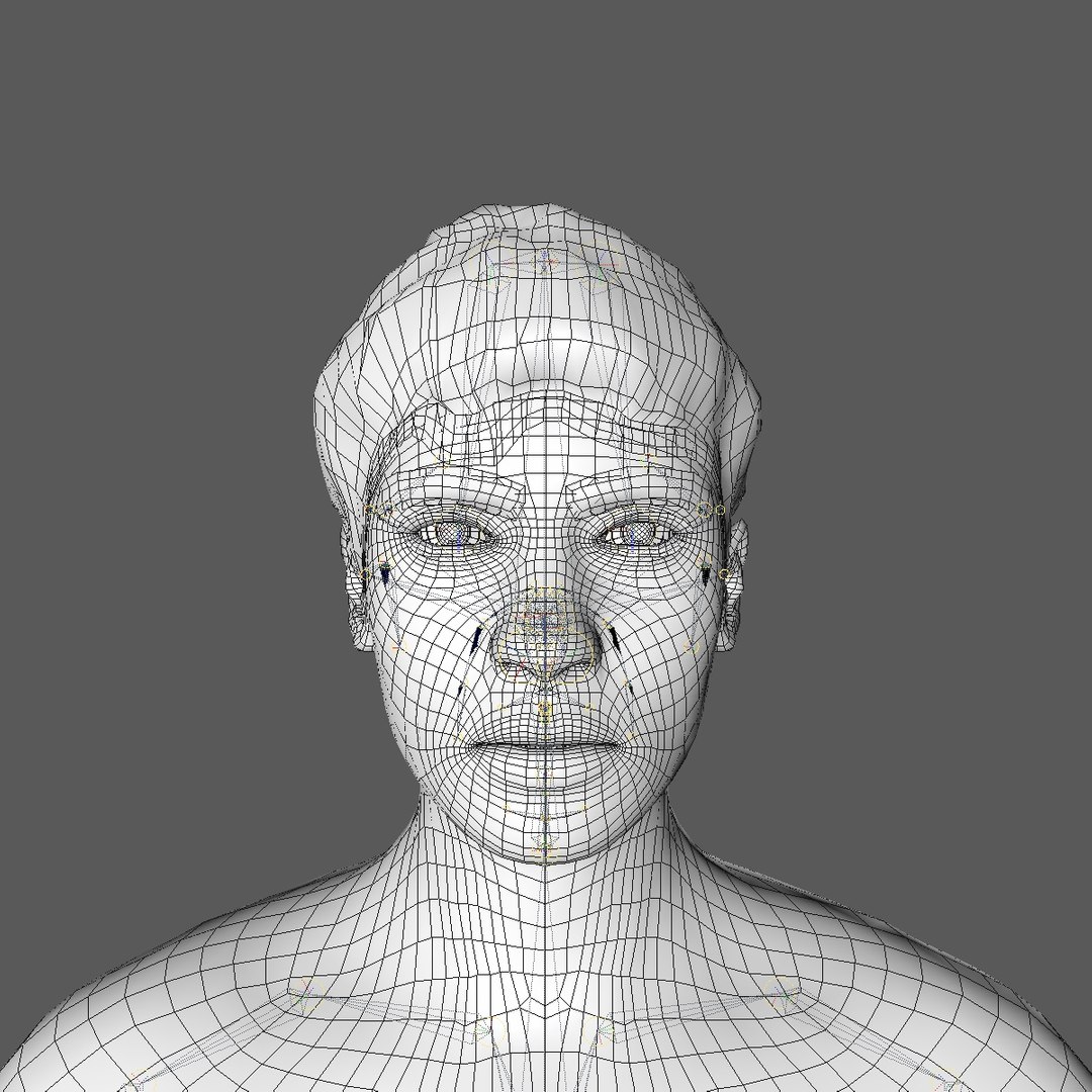 3d C4d Base Mesh 25 Year