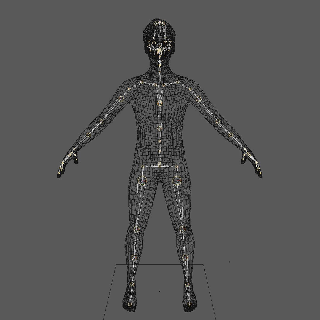 3d C4d Base Mesh 25 Year