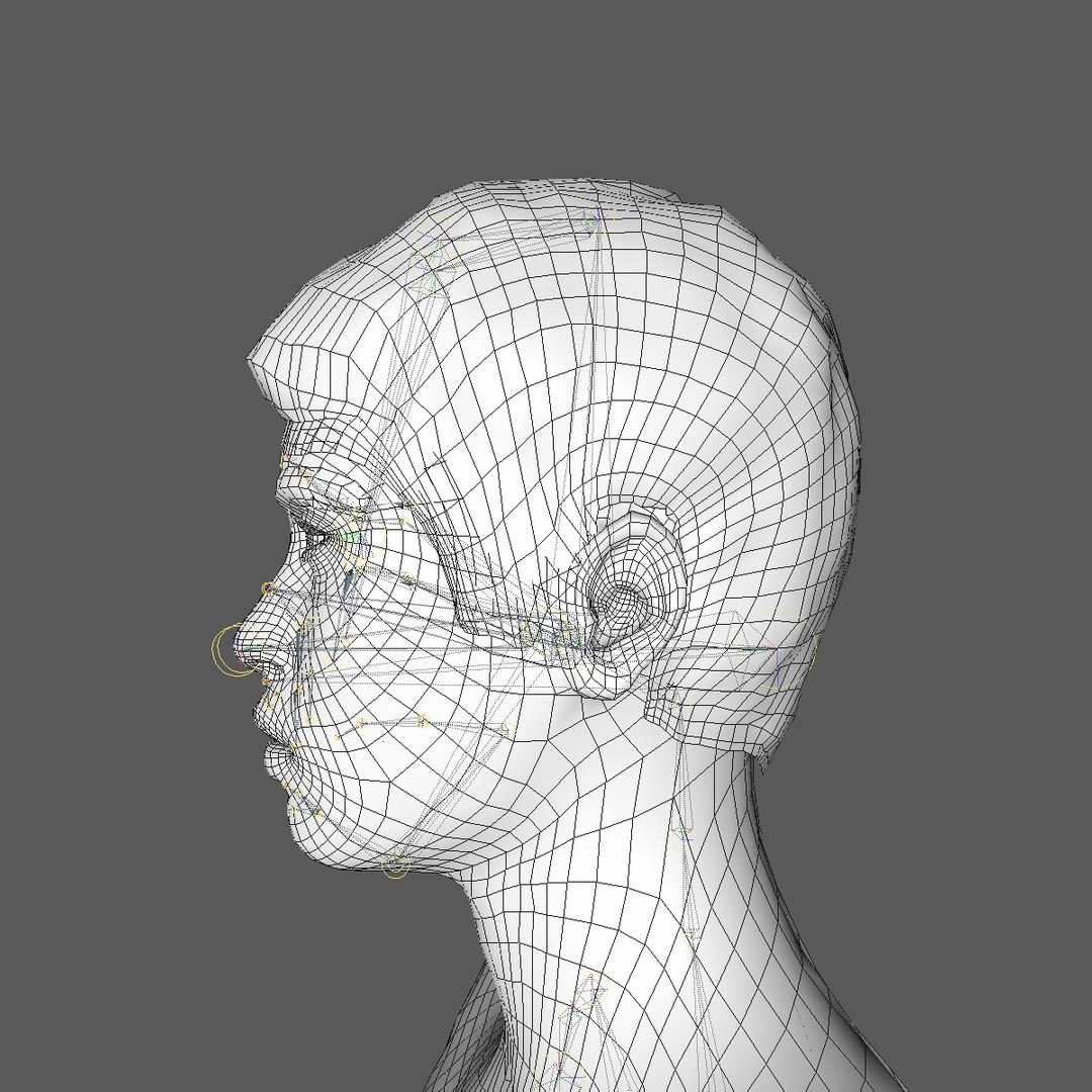 3d C4d Base Mesh 25 Year