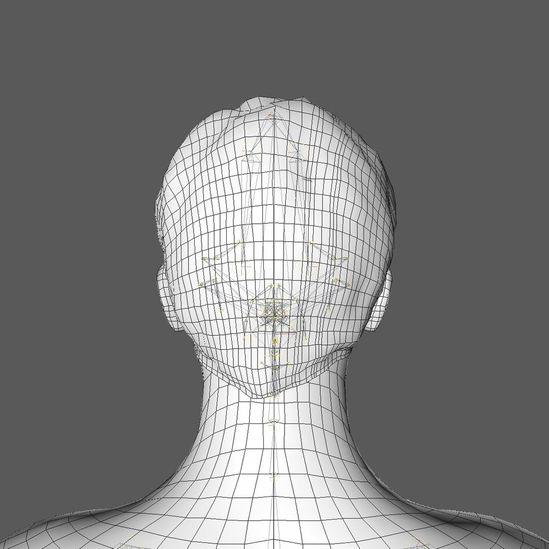 3d C4d Base Mesh 25 Year