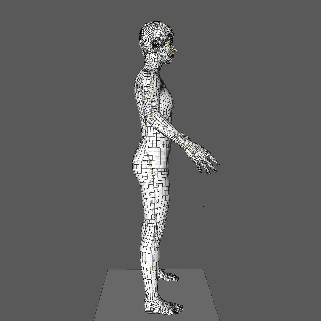 3d C4d Base Mesh 25 Year