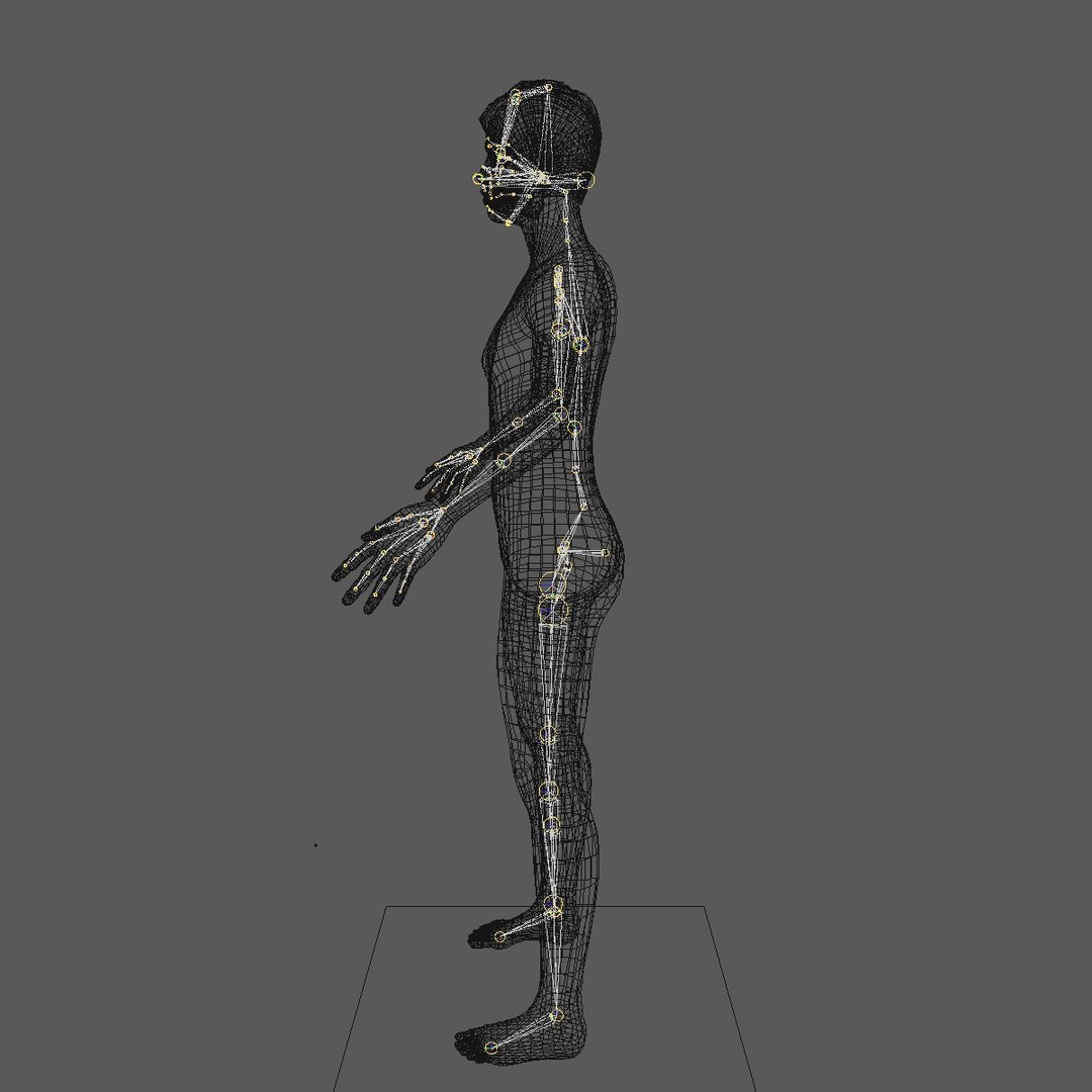 3d C4d Base Mesh 25 Year