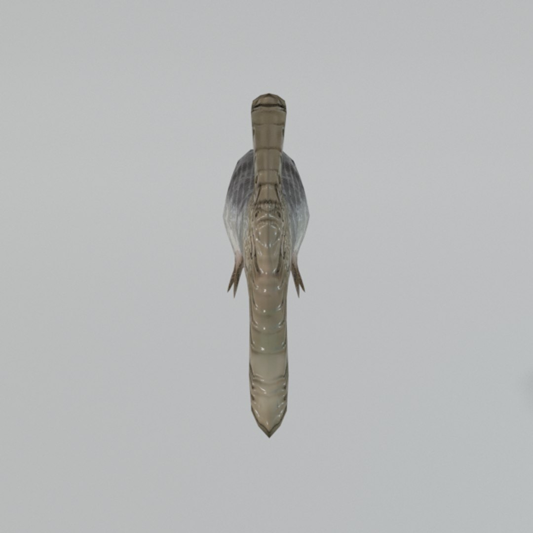 Anchovy 3D Model - TurboSquid 1316751