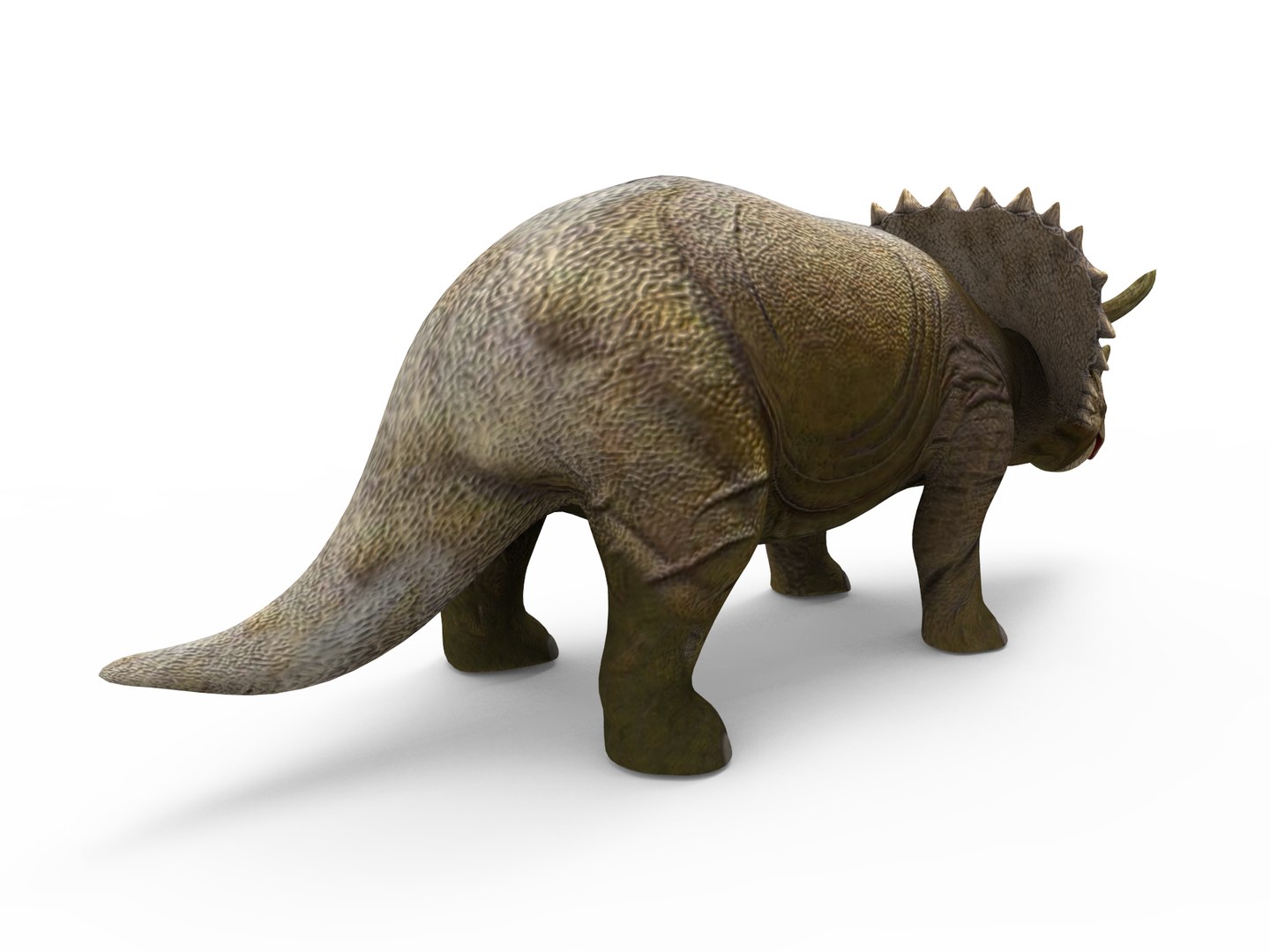 Realistic triceratops ready 3D model - TurboSquid 1277556