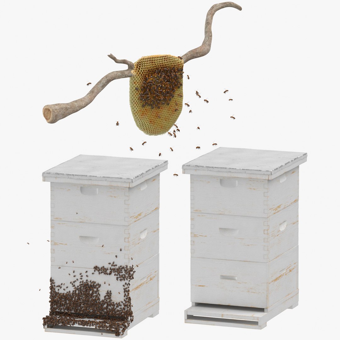 3D model bee hives - TurboSquid 1396927