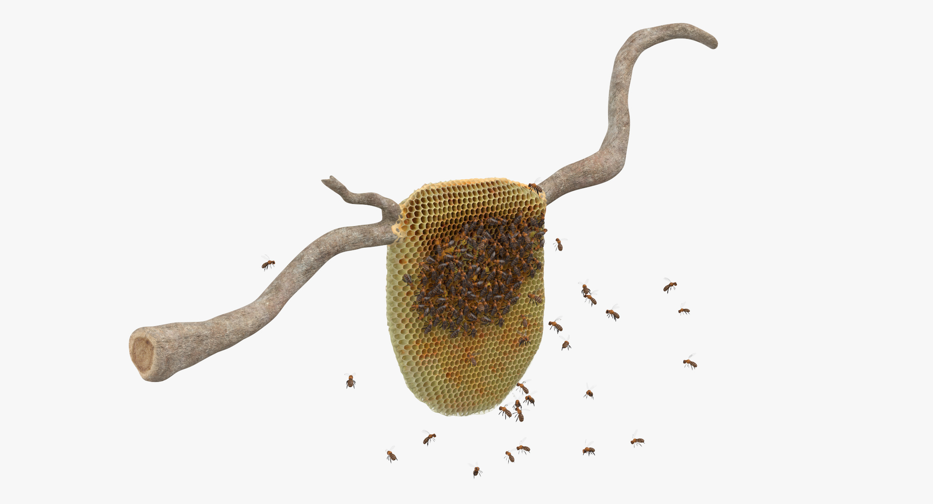 3D model bee hives - TurboSquid 1396927