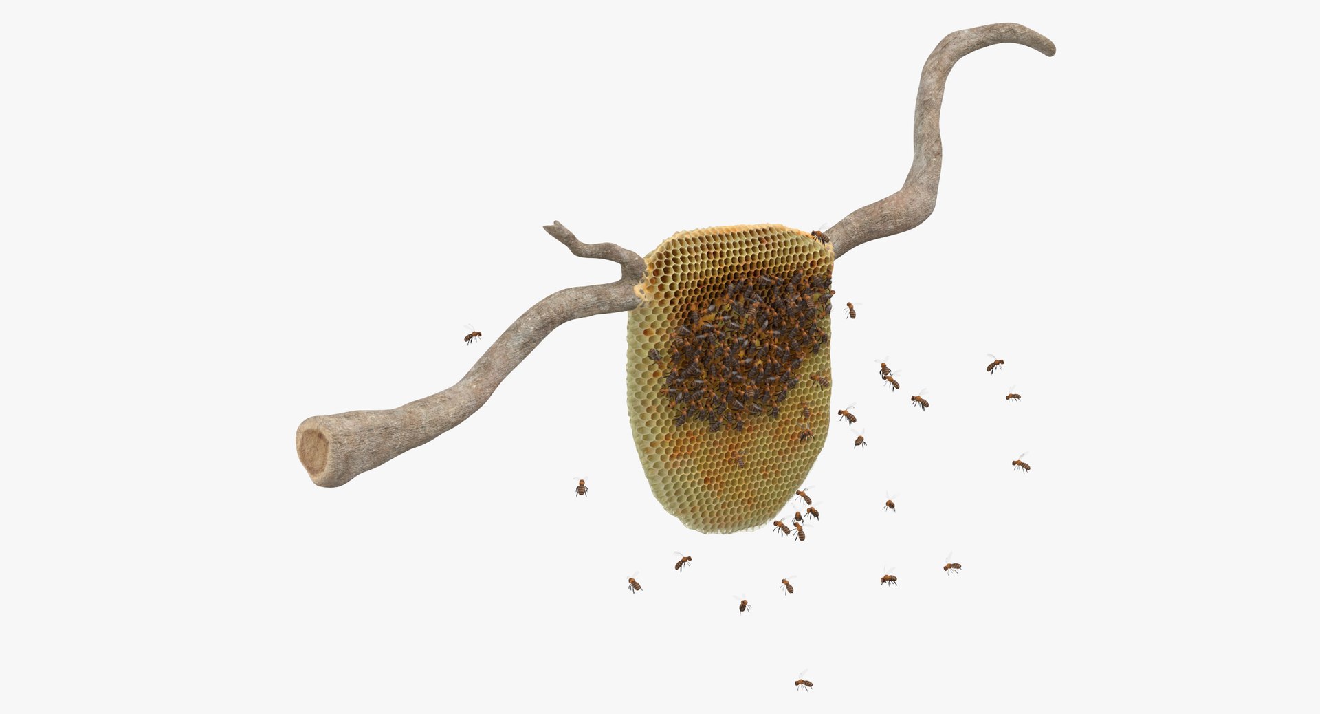 3D model bee hives - TurboSquid 1396927