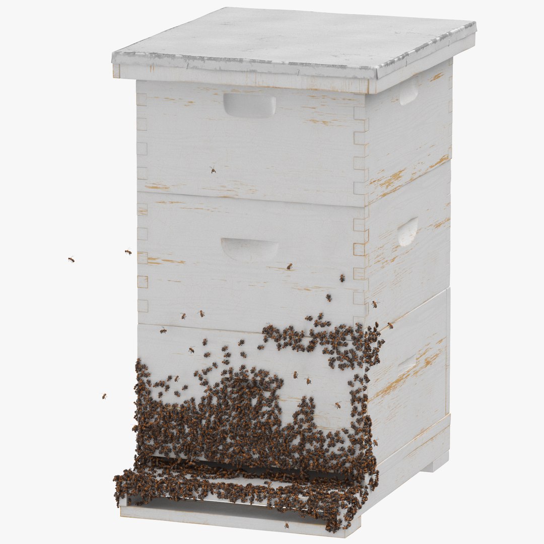 3D model bee hives - TurboSquid 1396927