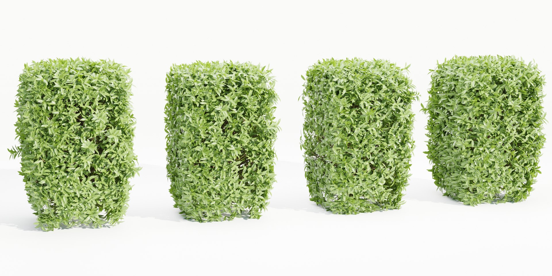 3D Laurel Hedging Bushes Collection Vol 129-Blender - TurboSquid 2144773
