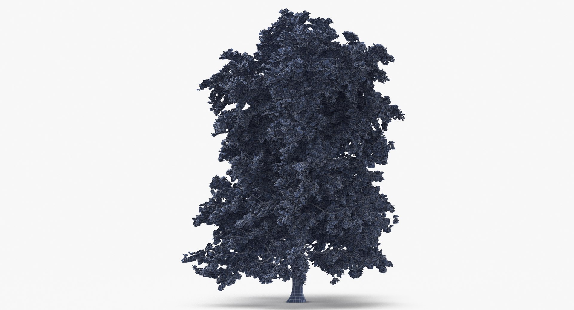 3D Hickory Tree Model - TurboSquid 1874953