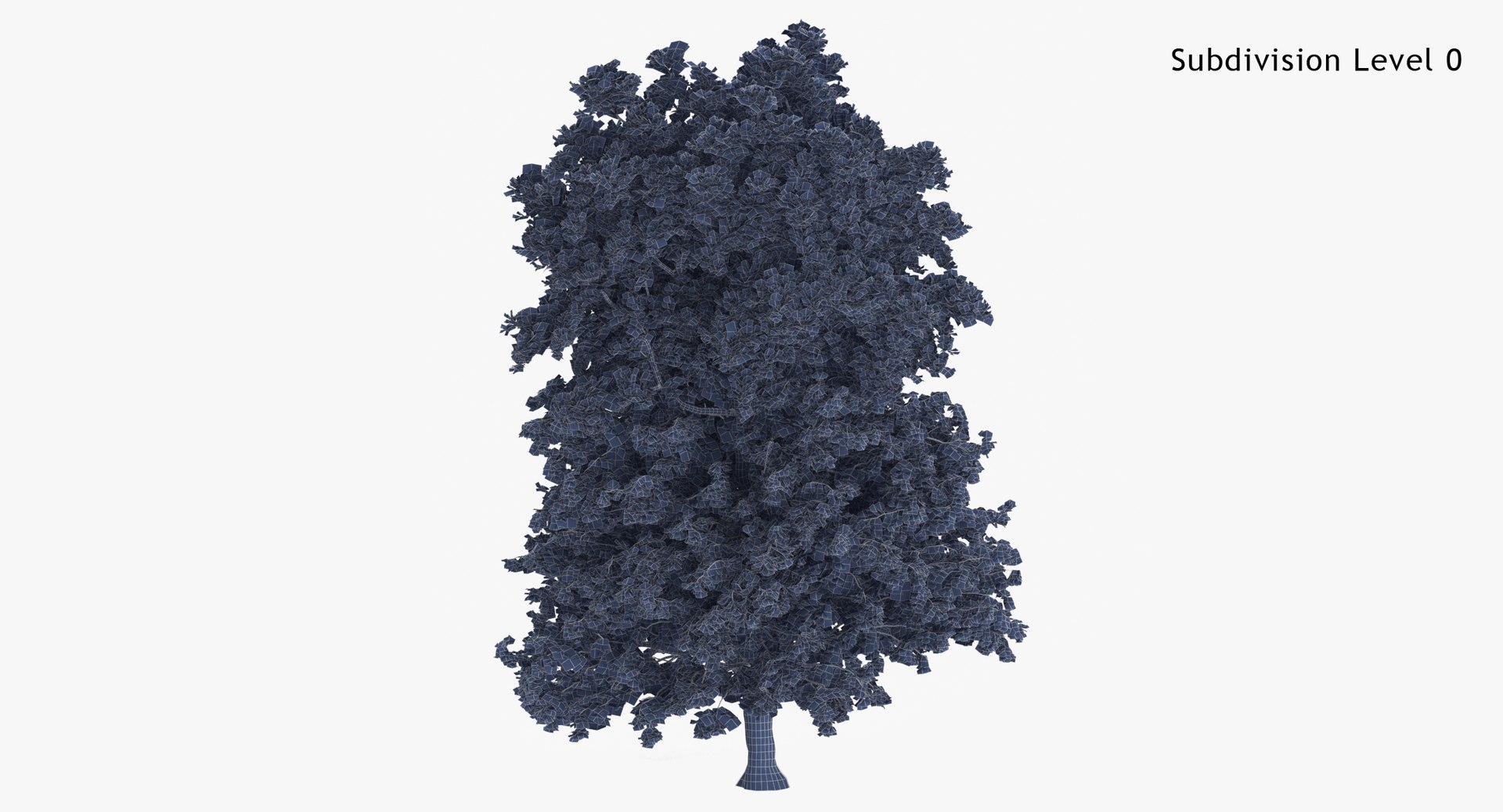 3D Hickory Tree Model - TurboSquid 1874953