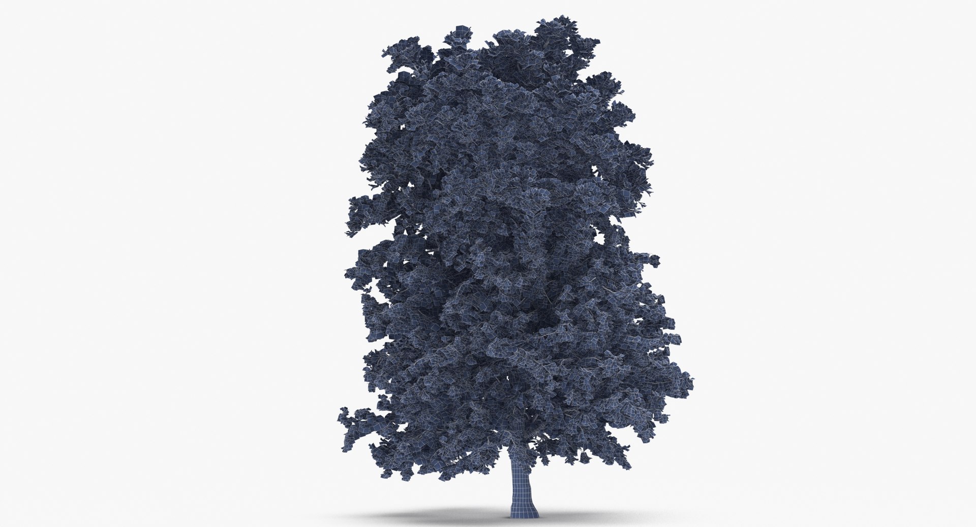 3D Hickory Tree Model - TurboSquid 1874953