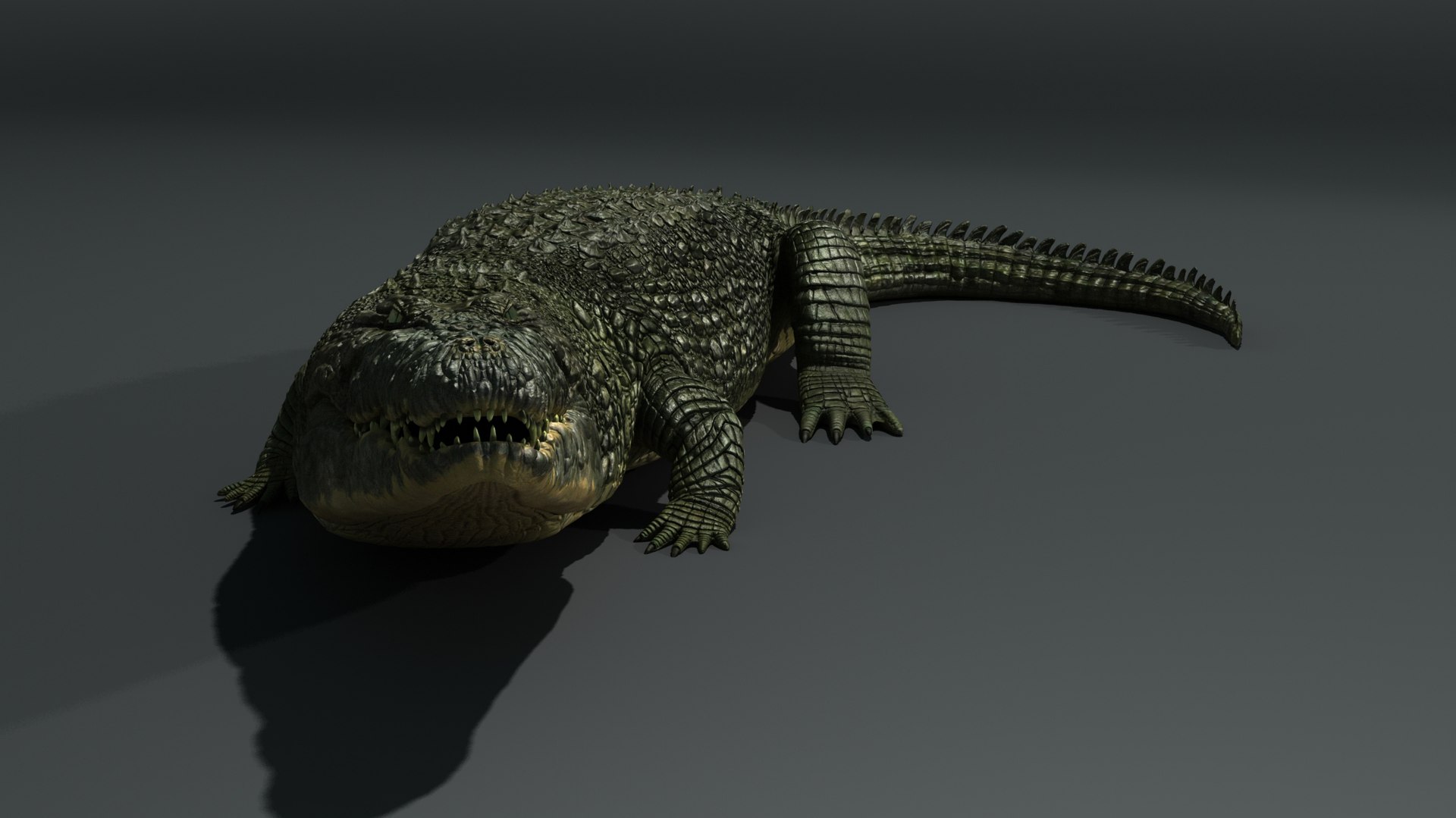 3d Realistic Crocodile