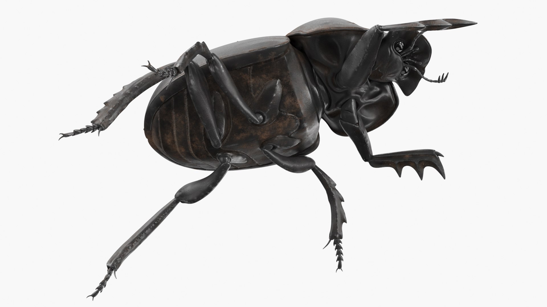 3D Mud Beetle Dirty Rigged For Maya - TurboSquid 2352732
