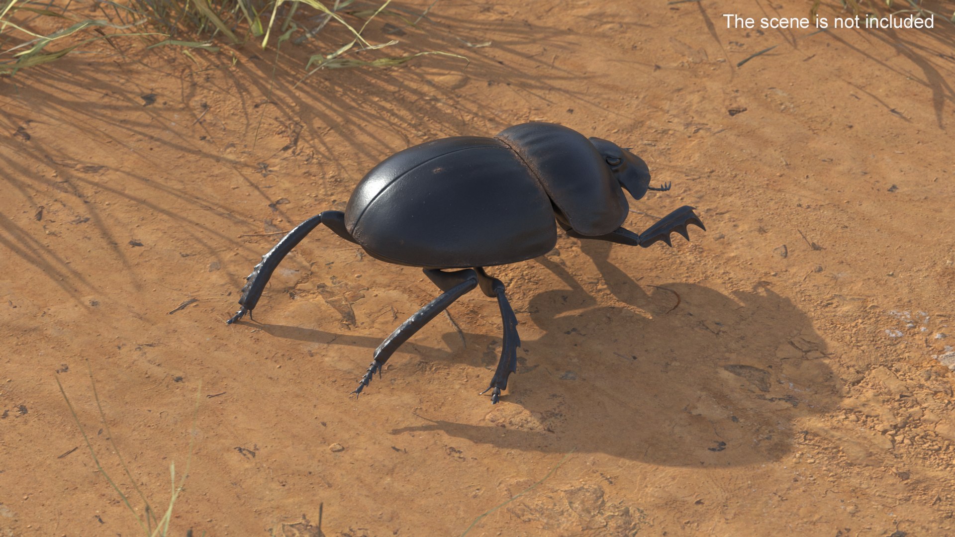 3D Mud Beetle Dirty Rigged For Maya - TurboSquid 2352732