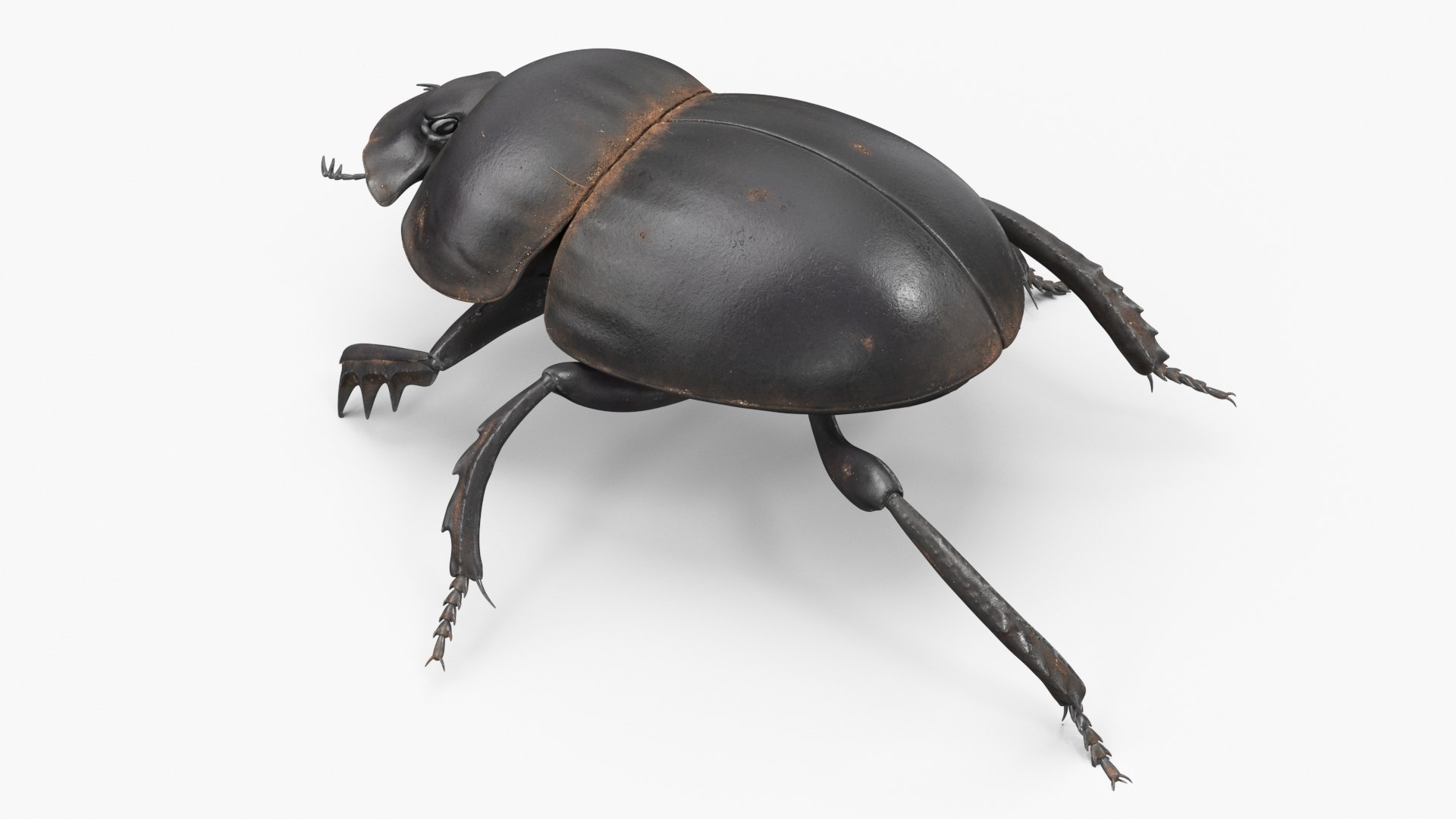 3D Mud Beetle Dirty Rigged For Maya - TurboSquid 2352732