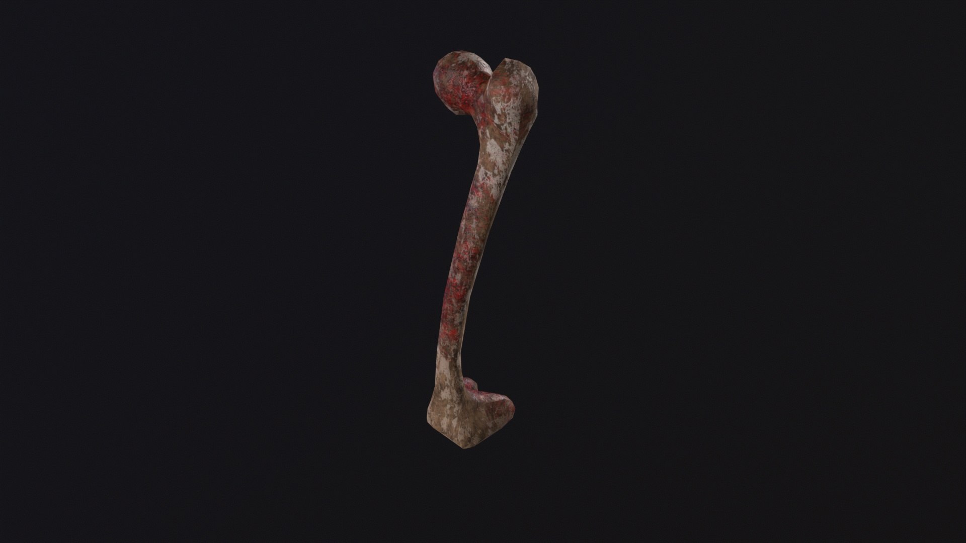 Bone 3D model - TurboSquid 2165053