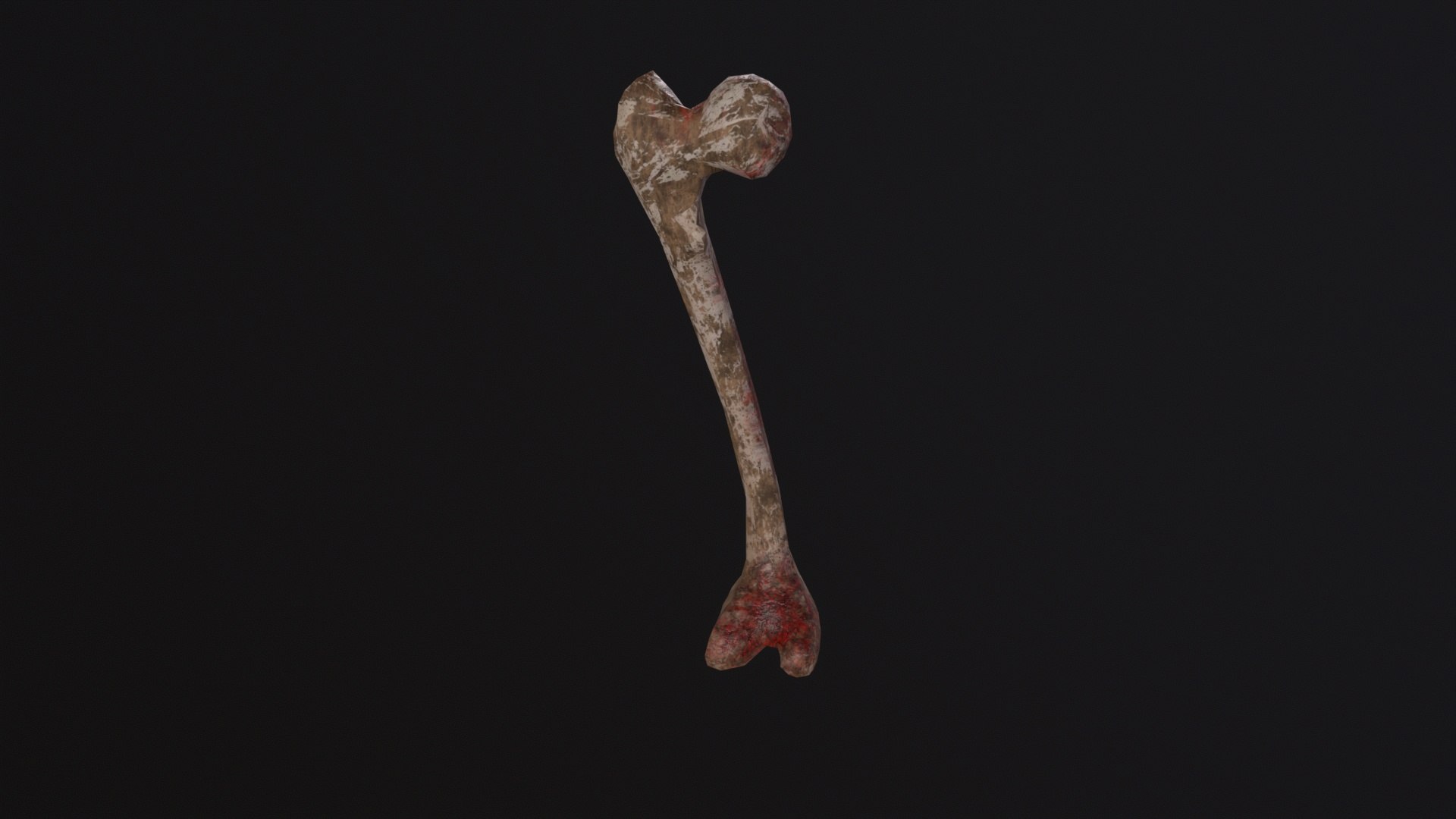 Bone 3D model - TurboSquid 2165053