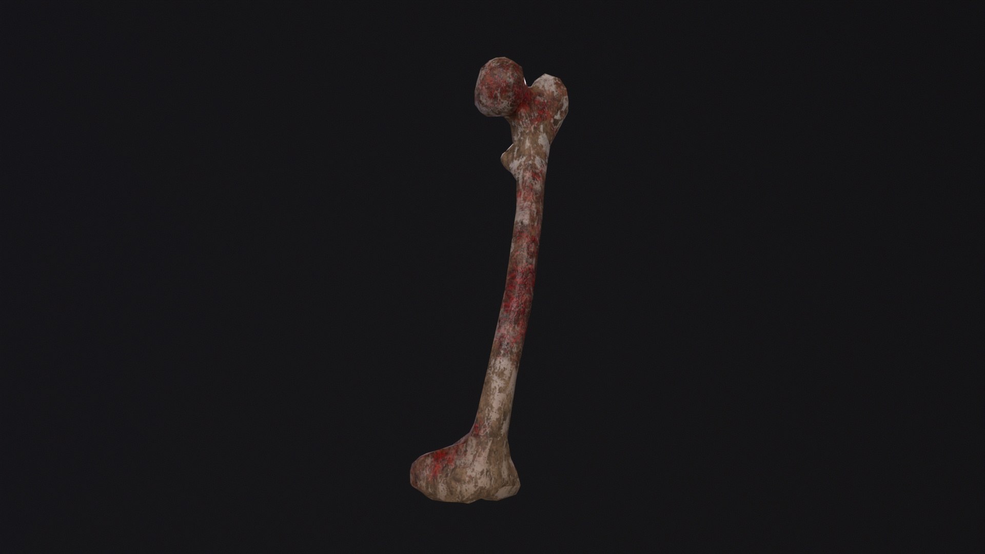 Bone 3D model - TurboSquid 2165053
