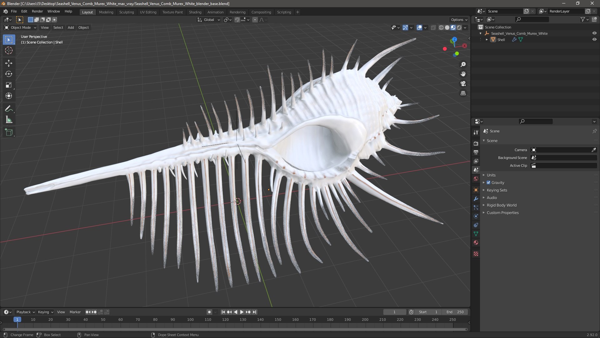3D Model Seashell Venus Comb Murex White - TurboSquid 2232374