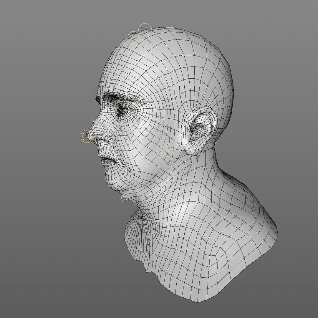 Realistic Head Base Mesh 3D - TurboSquid 1440273
