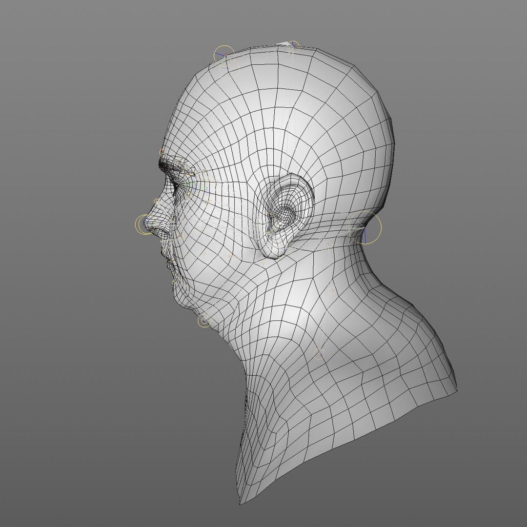 Realistic Head Base Mesh 3D - TurboSquid 1440273