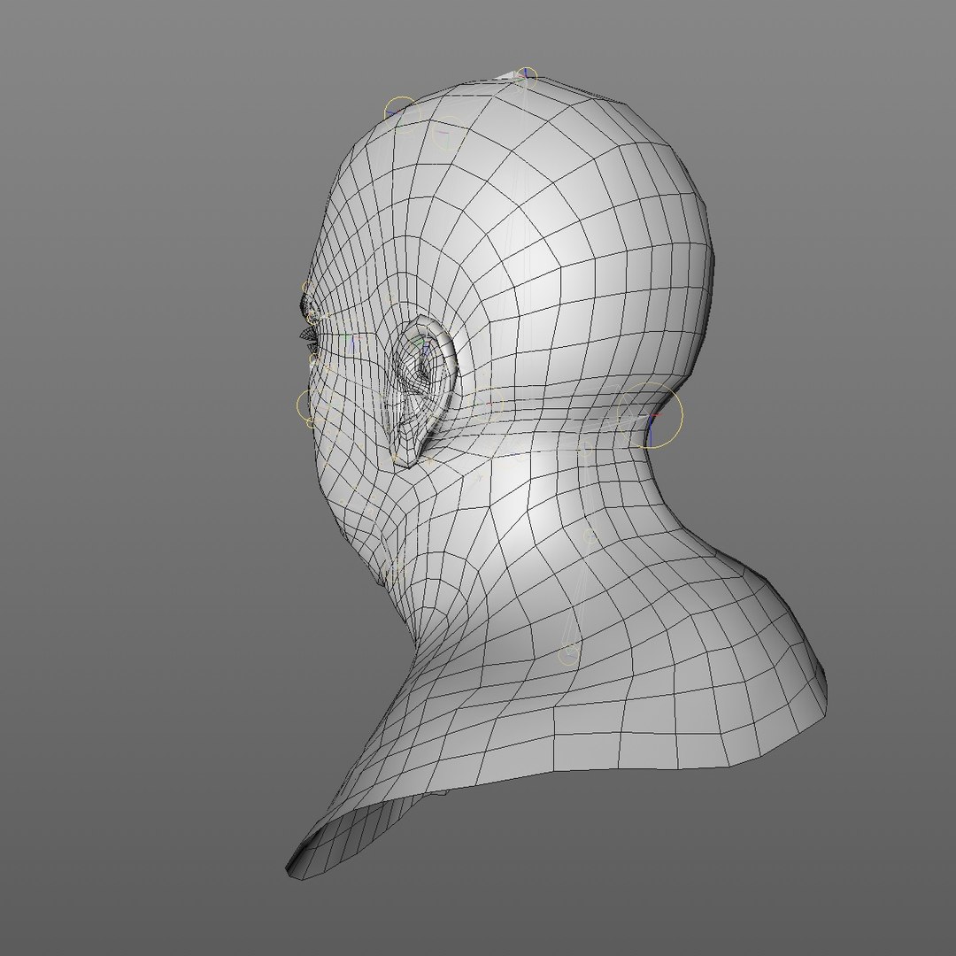 Realistic Head Base Mesh 3D - TurboSquid 1440273