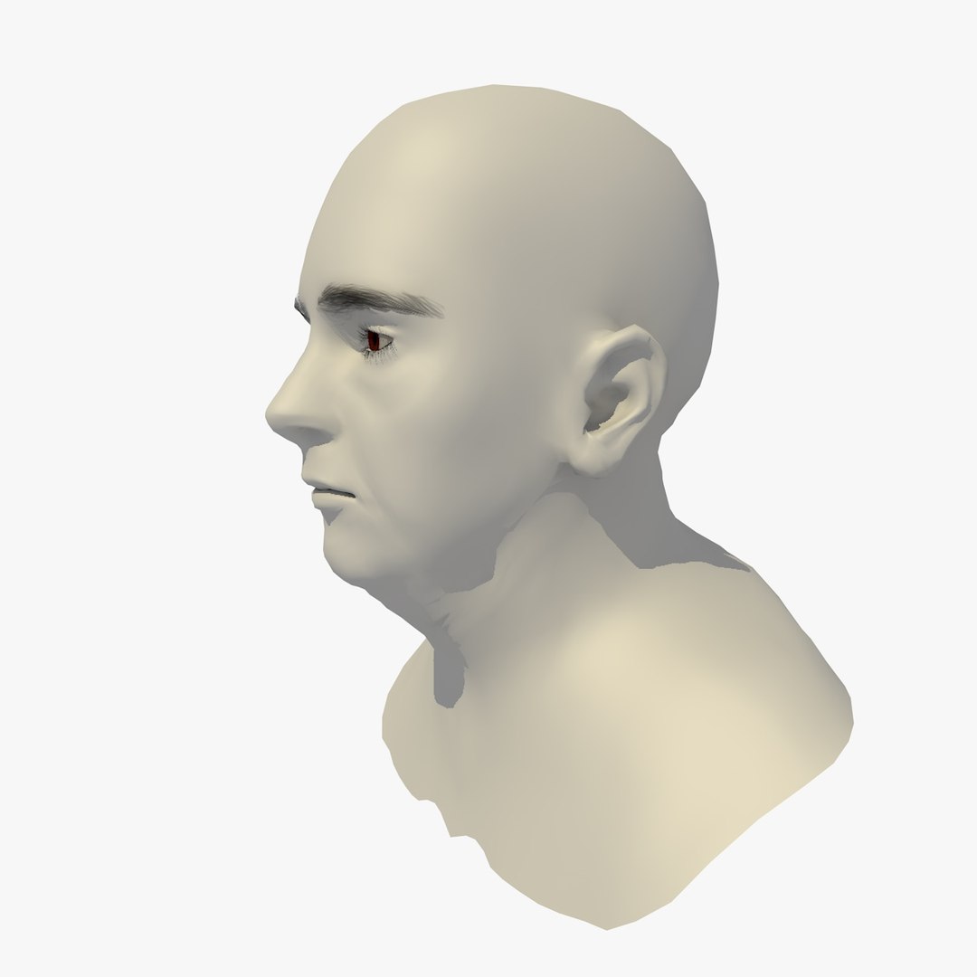Realistic Head Base Mesh 3D - TurboSquid 1440273