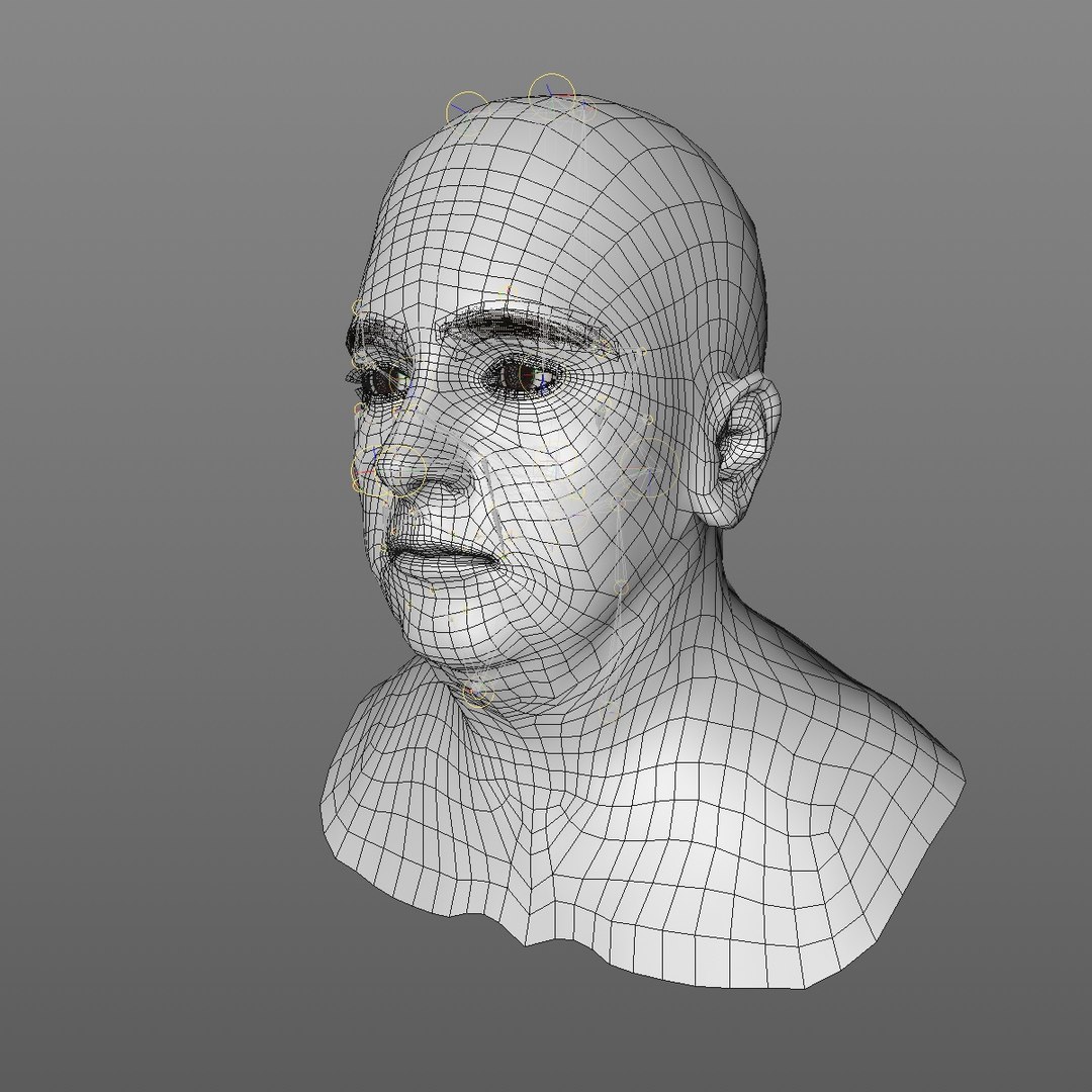 Realistic Head Base Mesh 3D - TurboSquid 1440273