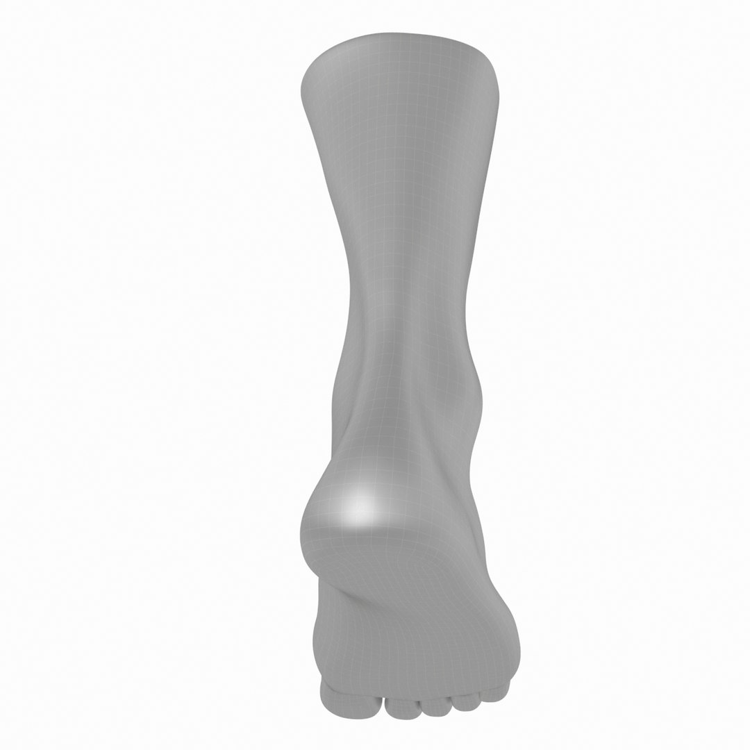 Male Feet Base Mesh 3D Model - TurboSquid 2163147