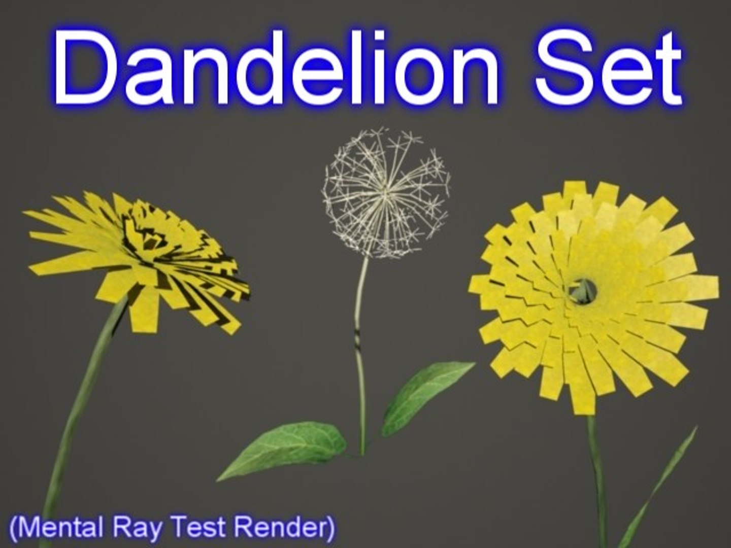 Set Dandelion 3d Model
