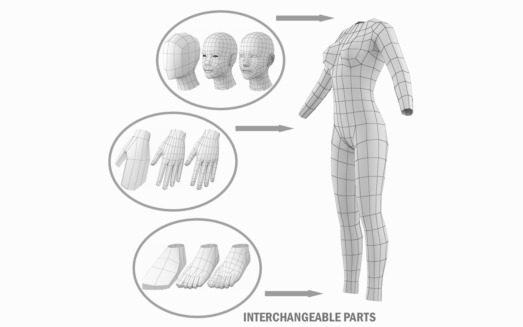 Female And Male Base Mesh Natural Proportions In A Pose BUNDLE Model ...