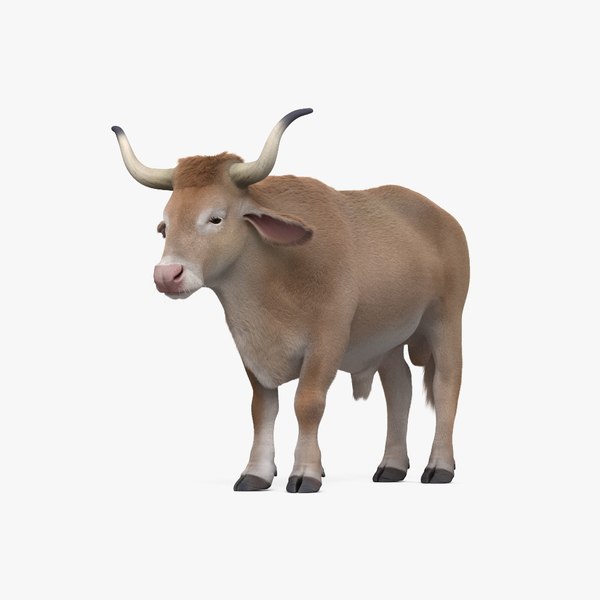 modelo 3d Ox - TurboSquid 2040047