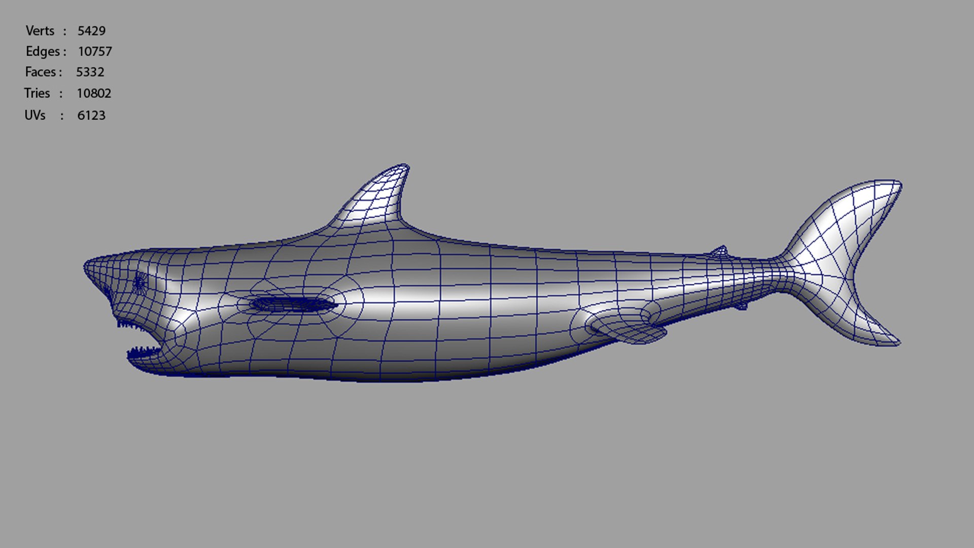 maya sharks fish