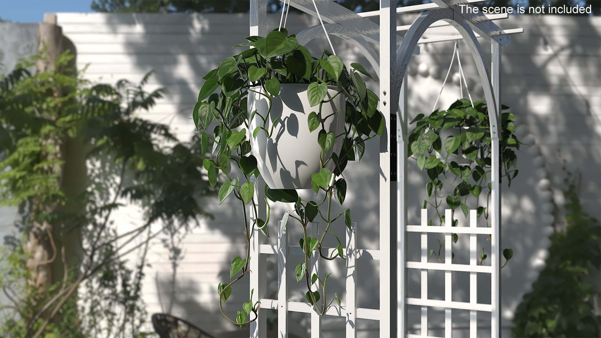 Hanging Potted Plant 3D Model - TurboSquid 2321023