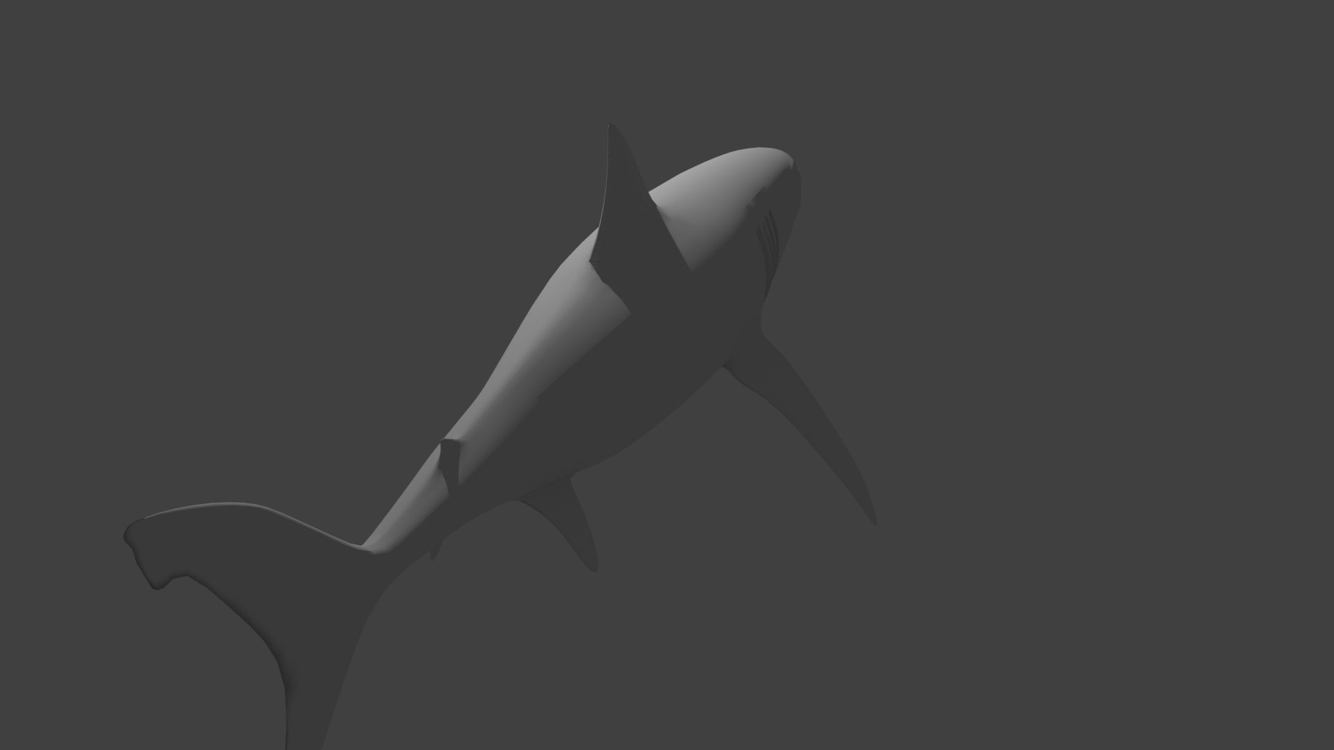 3d Model Shark Mesh
