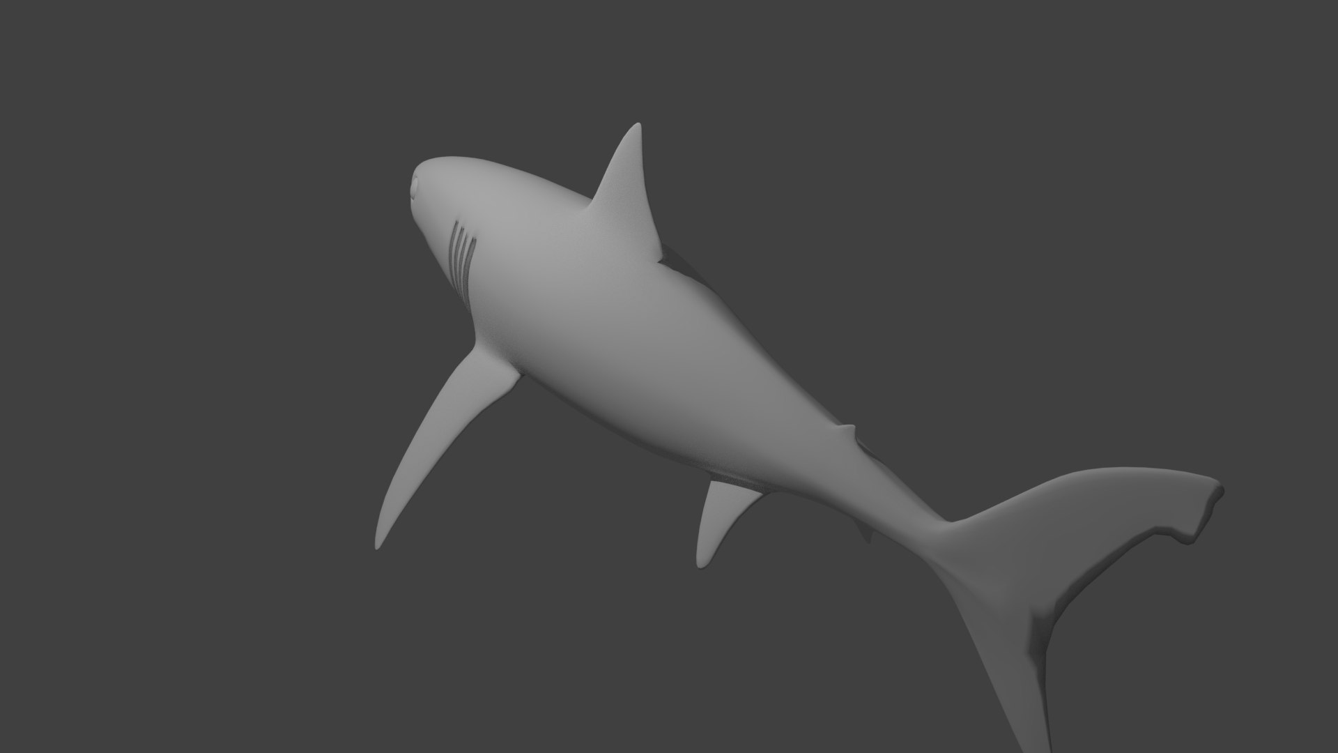 3d Model Shark Mesh