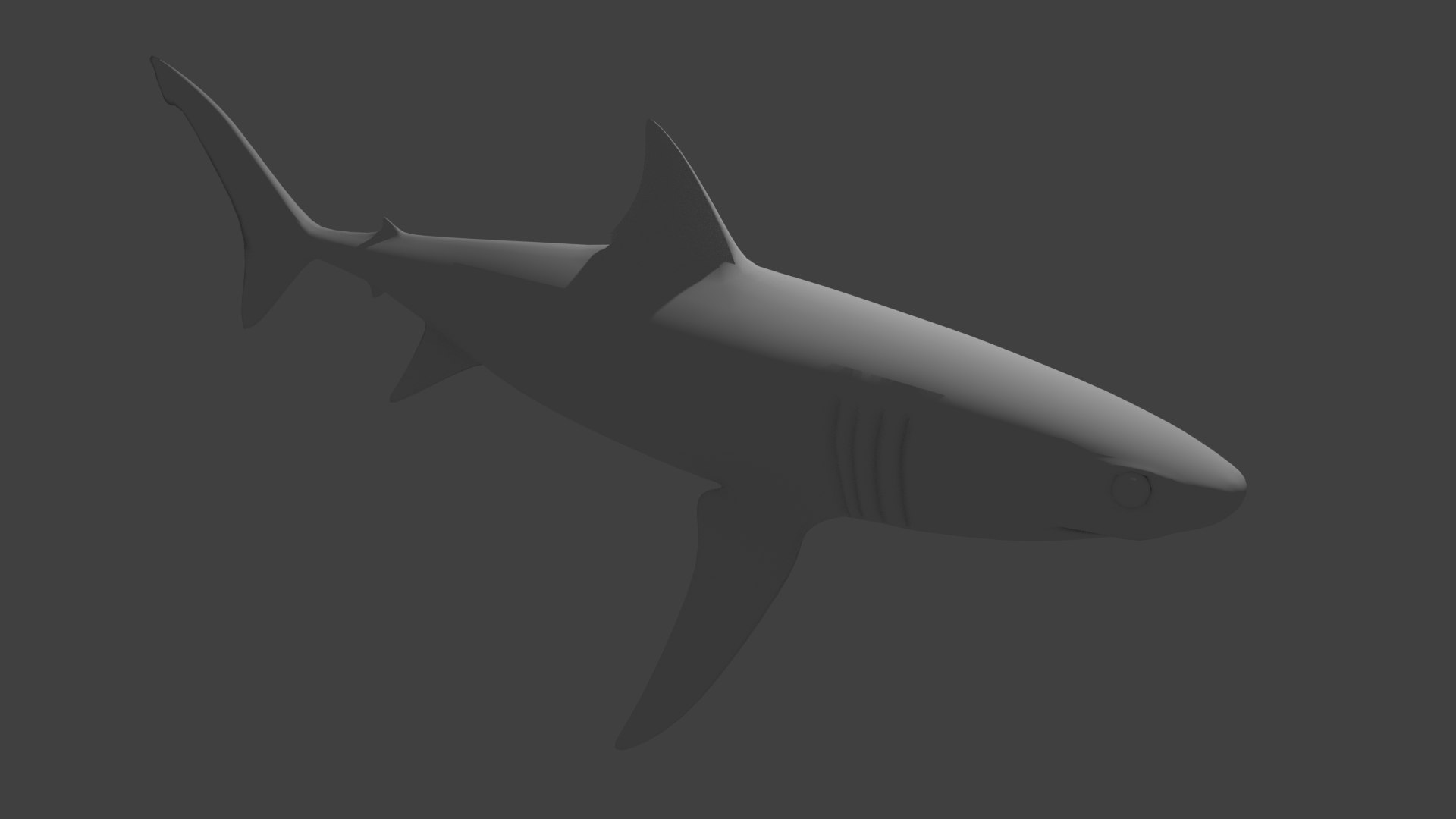 3d Model Shark Mesh