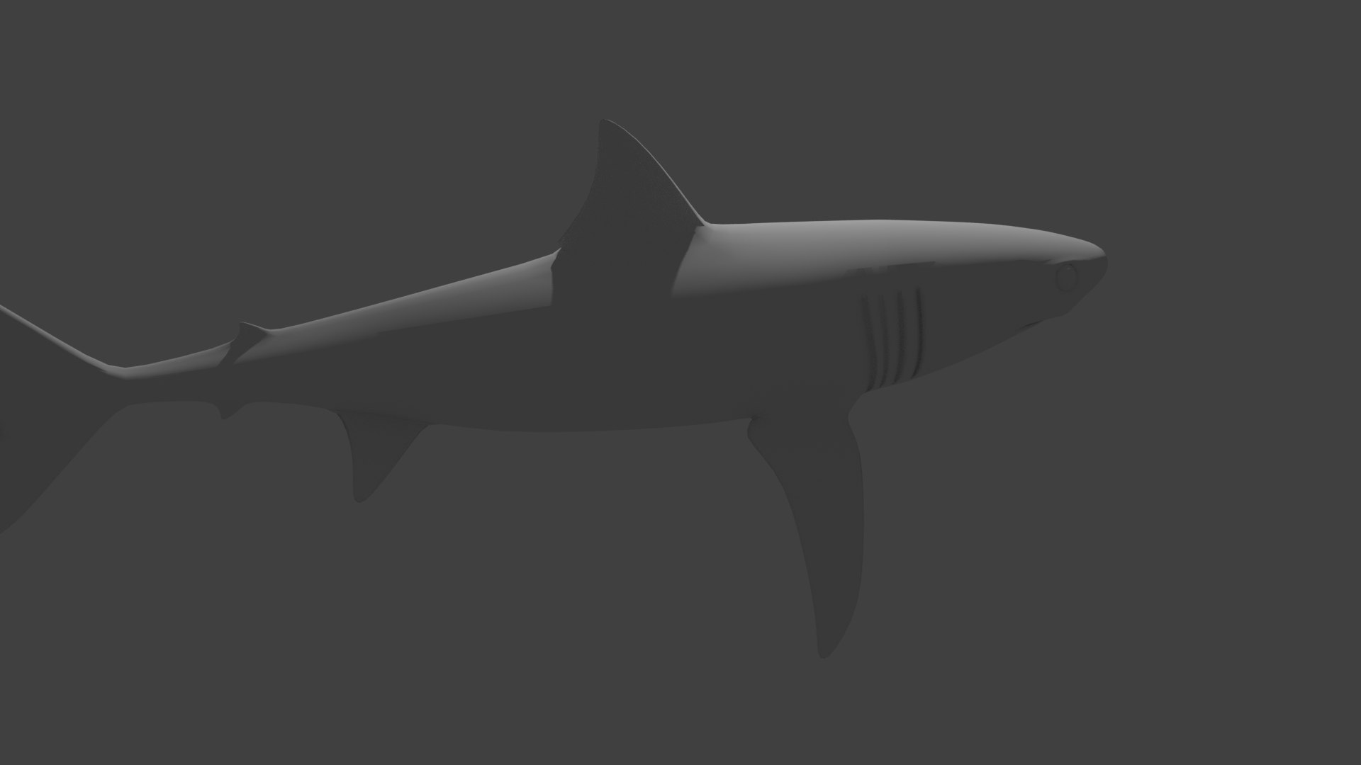 3d Model Shark Mesh